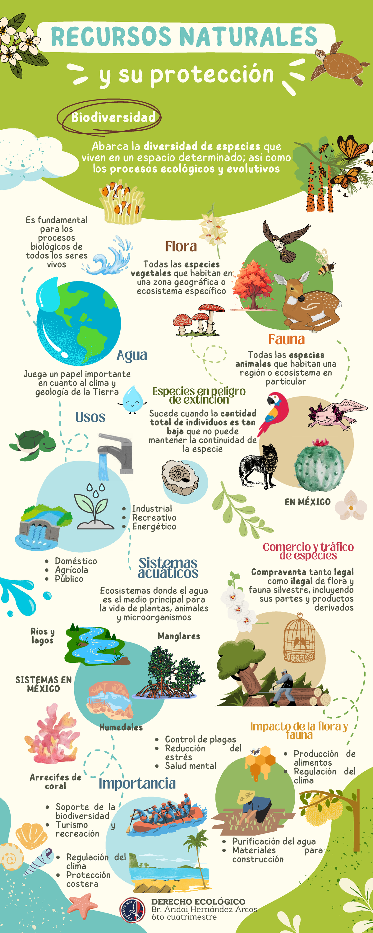 Tema 6: Recursos Naturales y Biodiversidad en México - Br. Aridai Hernández - Studocu