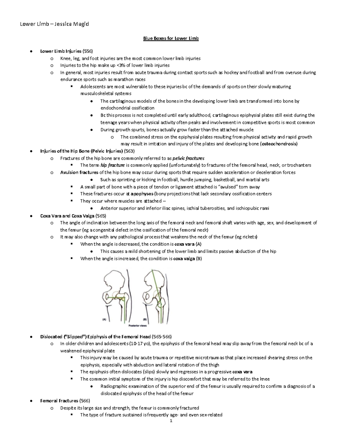 Lower Limb Injuries and Conditions: Comprehensive Study Notes (556 ...