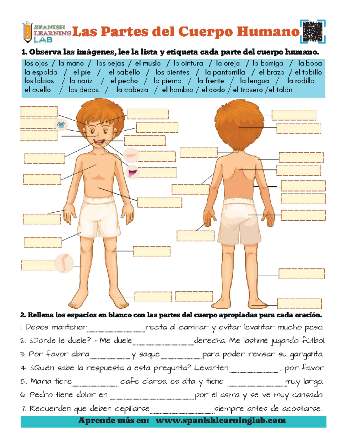 Las Partes del Cuerpo Humano: Ejercicios y Actividades 1 - Studocu