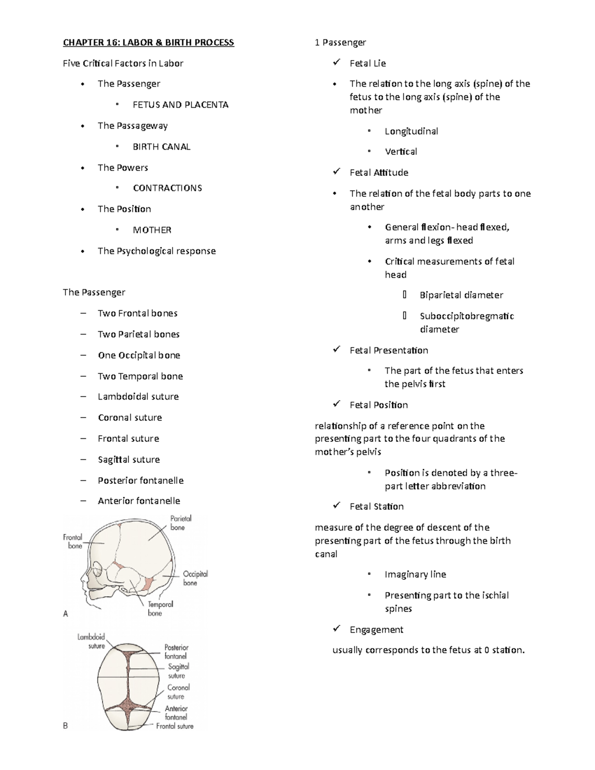 Week 5 - Labor and Birth Process Review Notes - Studocu
