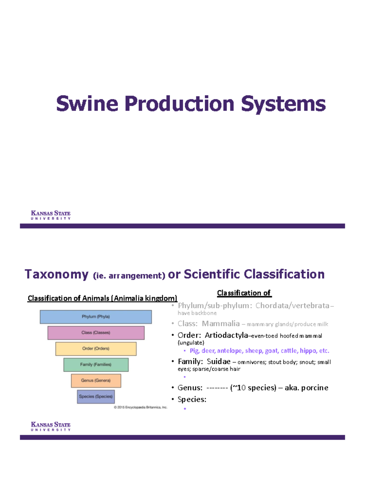 ASI 102 Swine Production Systems - Fall 2025 Notes - Studocu