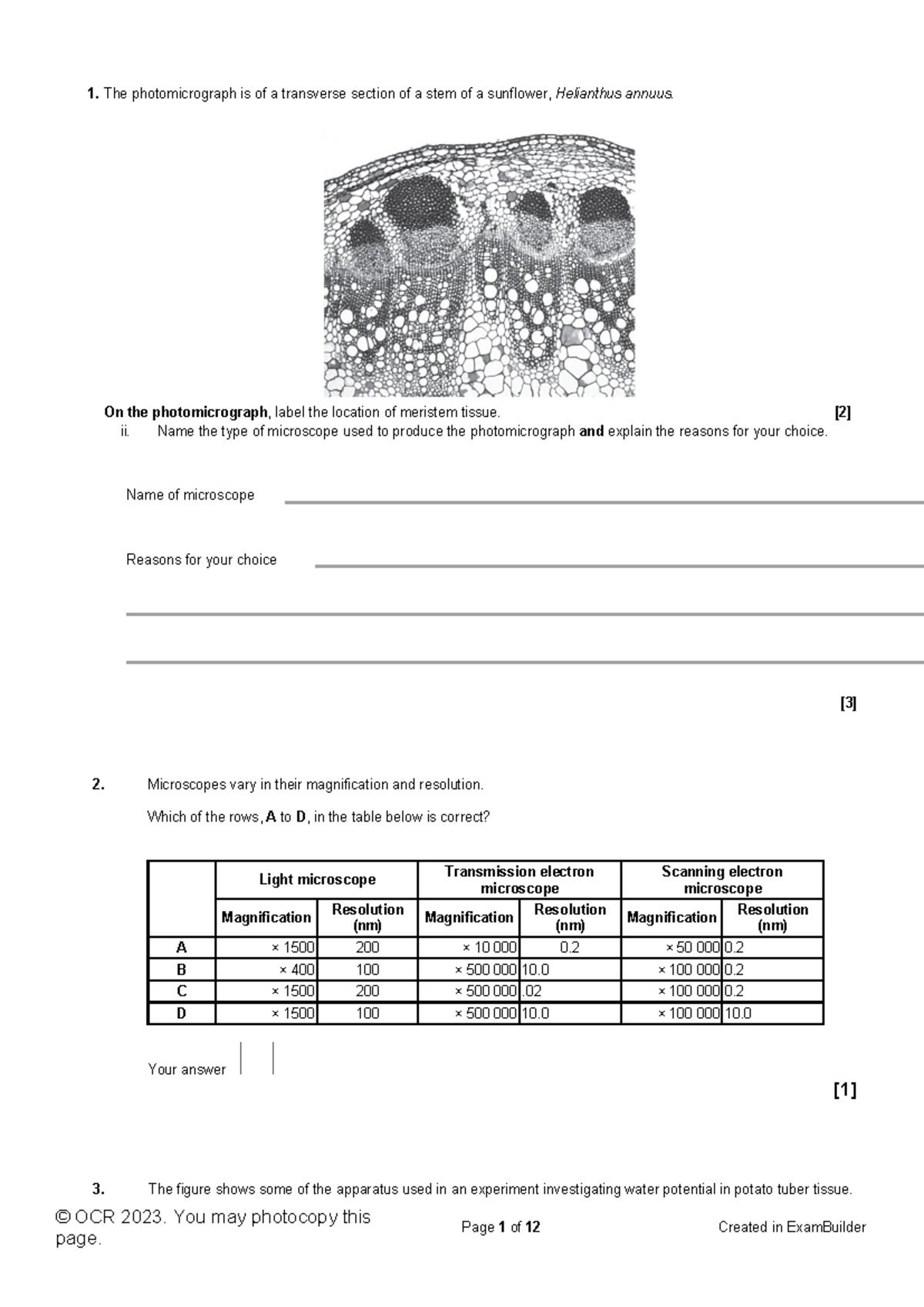 Microscopy Q&A: Understanding Plant Cells & Imaging Techniques (OCR ...