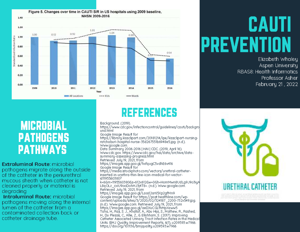 CAUTI Prevention Strategies - RBAS8 Health Informatics - Studocu