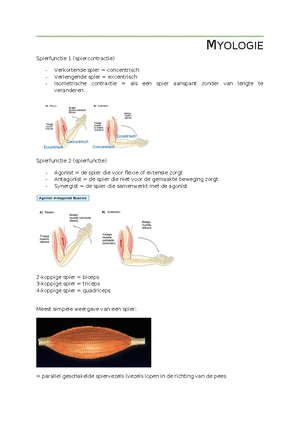 Anatomie van de spieren van het onderbeen en hun functies - Studeersnel