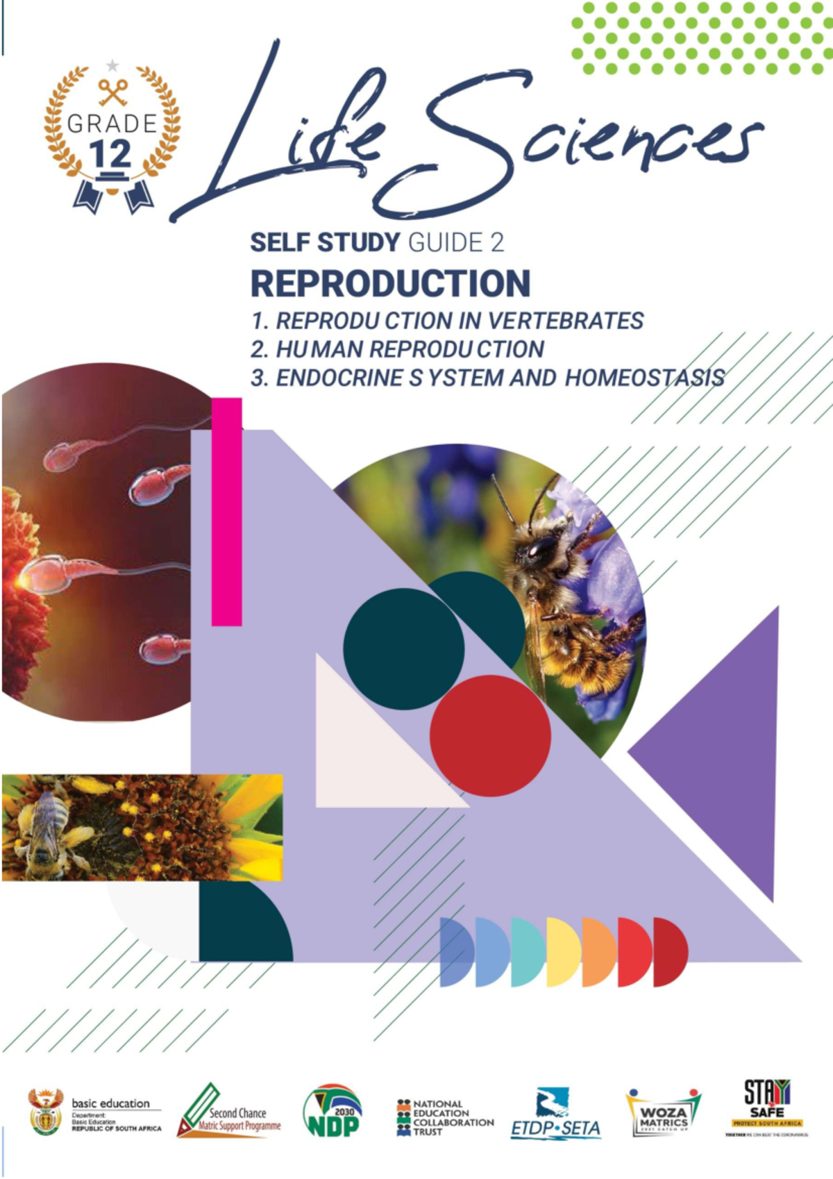 Life Sciences Grade 12: Reproduction & Endocrine System Guide - Studocu