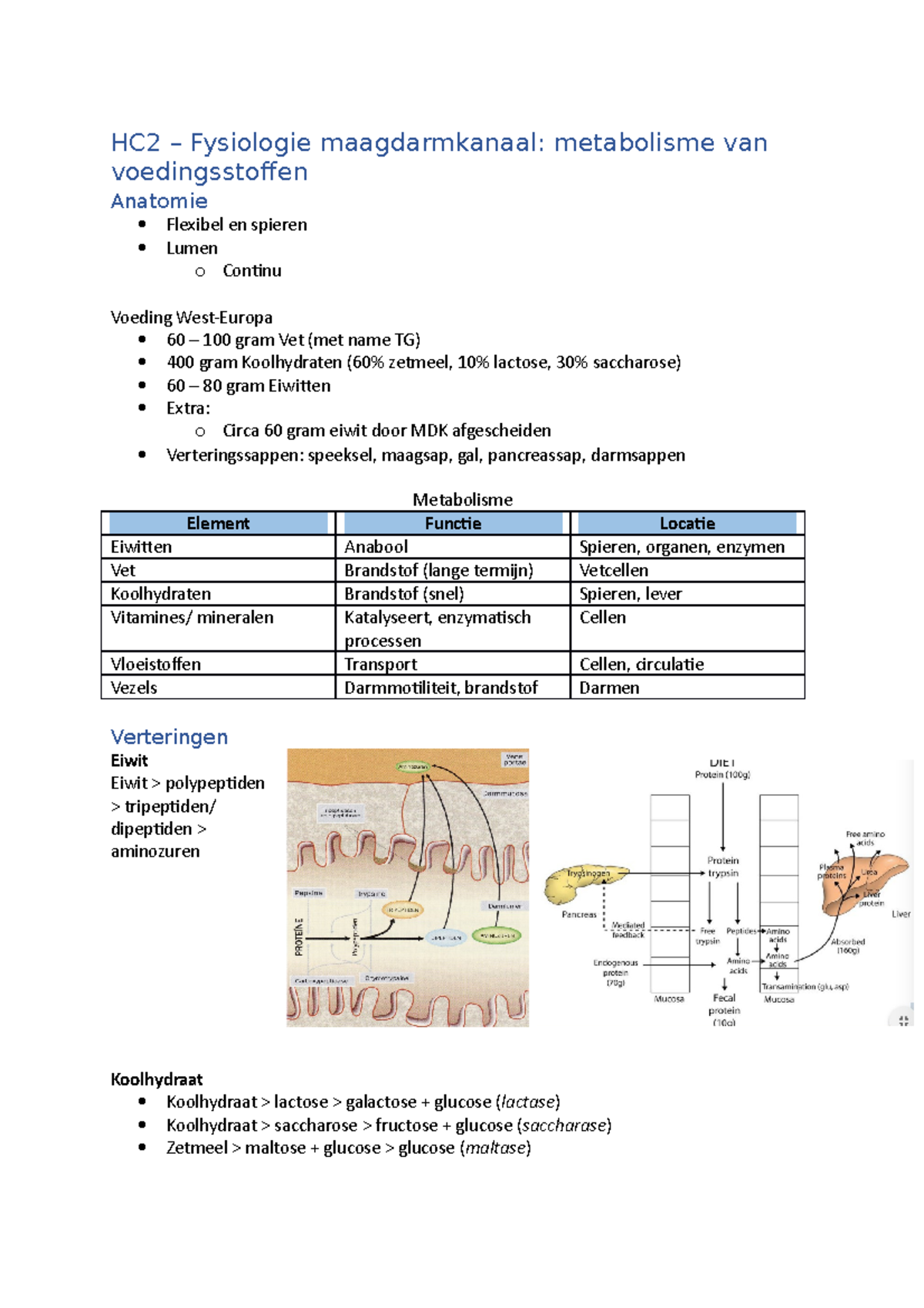 HC2 – Fysiologie maagdarmkanaal - Monosacchariden transporteren naar de ...