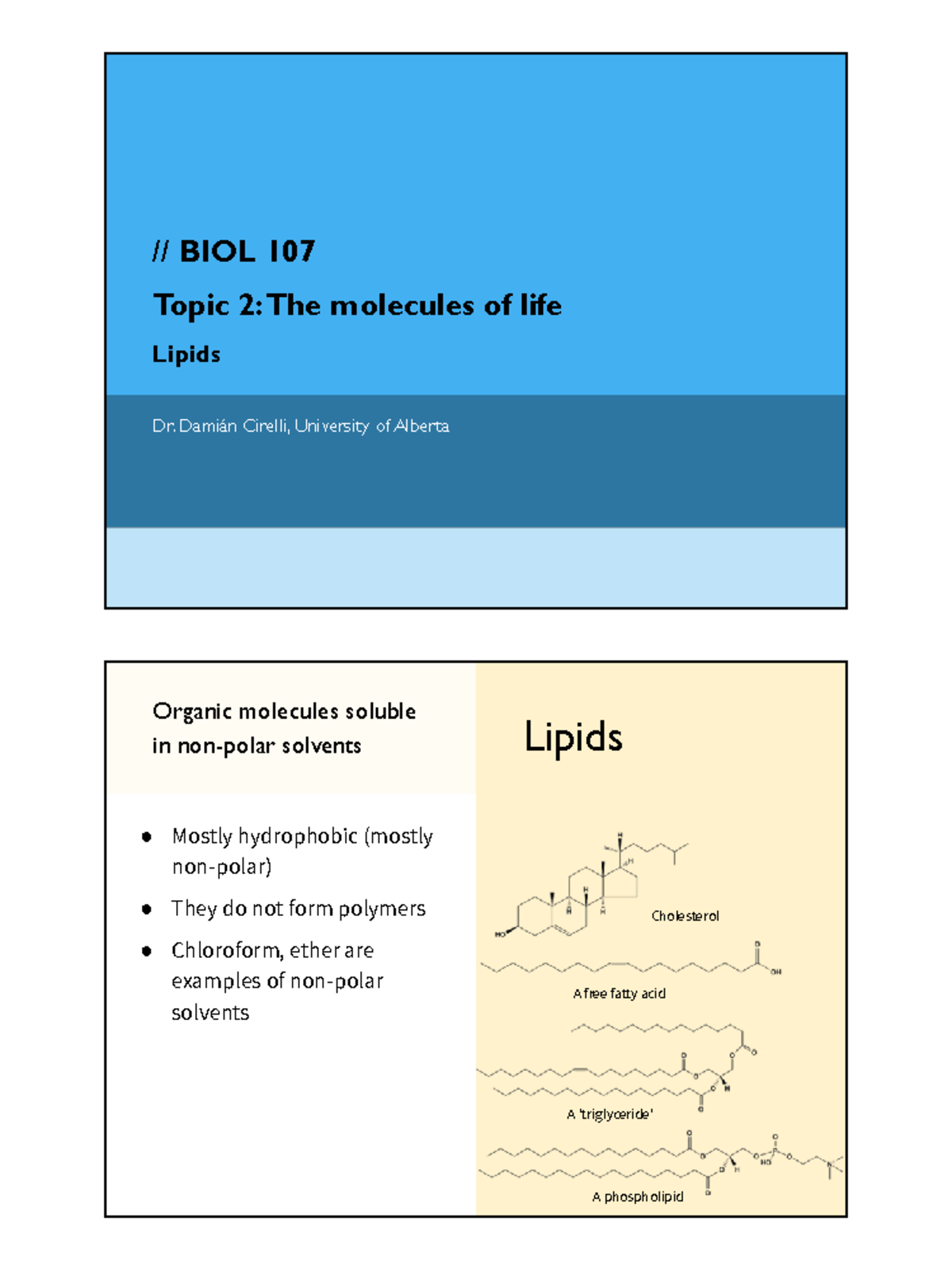 BIOL 107 Final Exam Notes: Detailed Analysis of Lipids and Their Roles ...