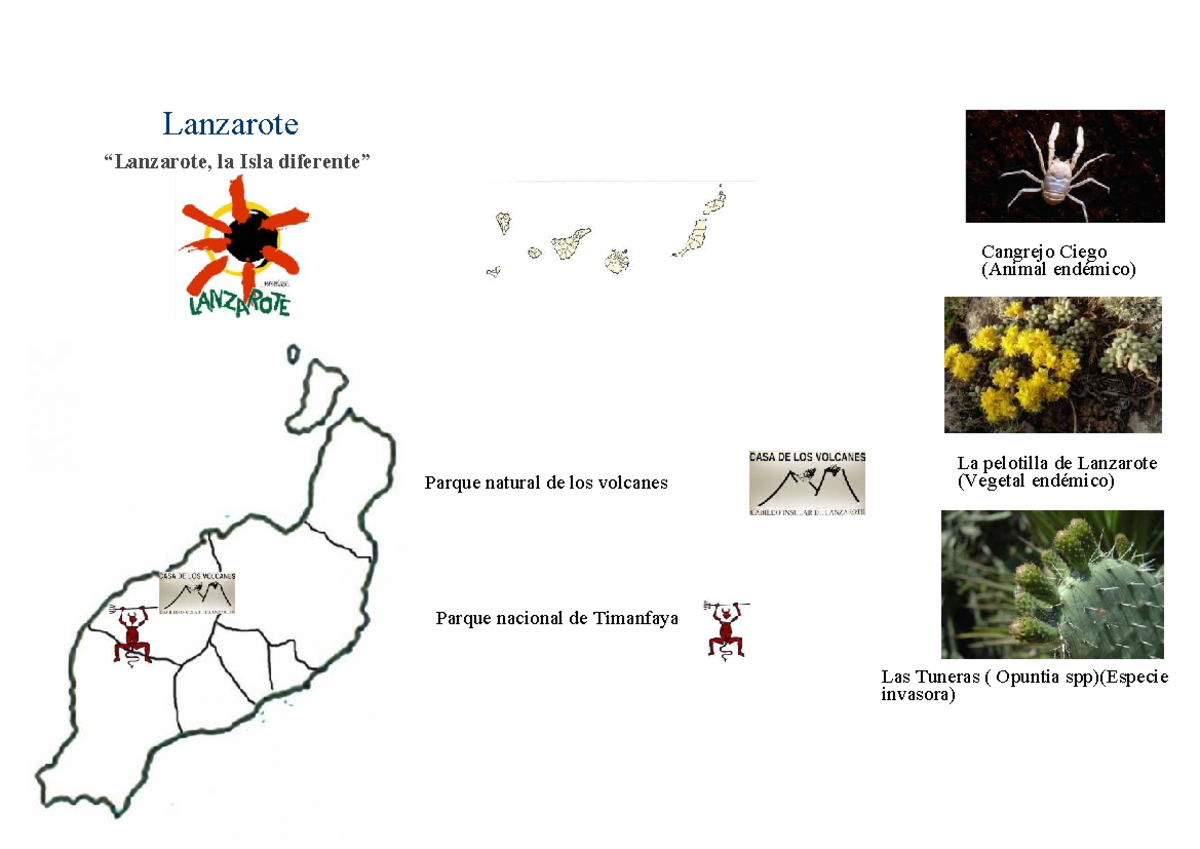 Lanzarote - Tarea - Historia - Lanzarote “Lanzarote, la Isla diferente ...