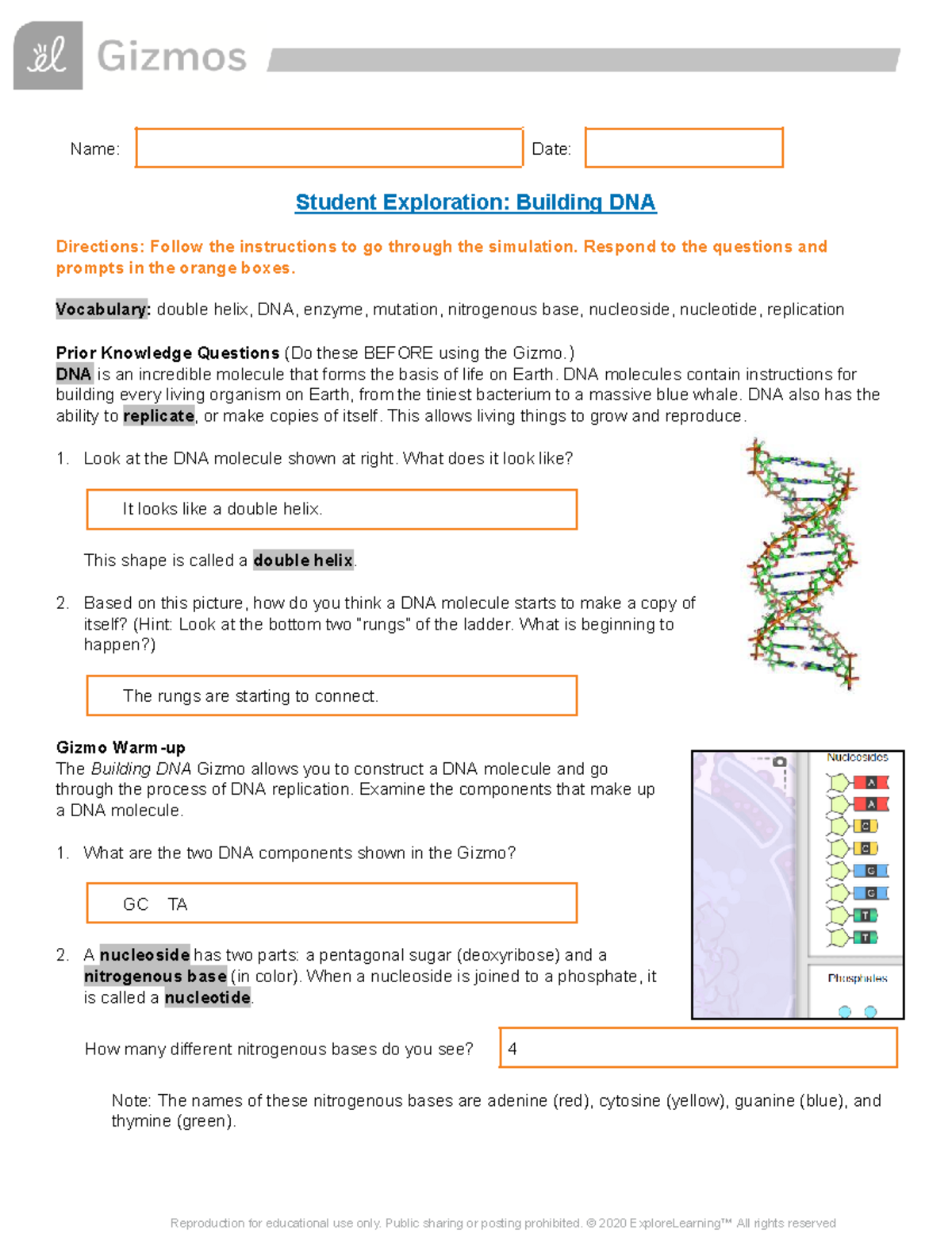 Building DNA Simulation Activity - Gizmo Exploration Guide - Studocu