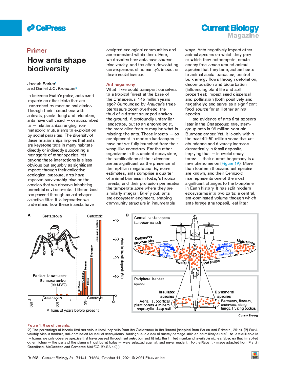 Ants as Keystone Species: Impacts on Biodiversity and Ecosystems (BIO ...