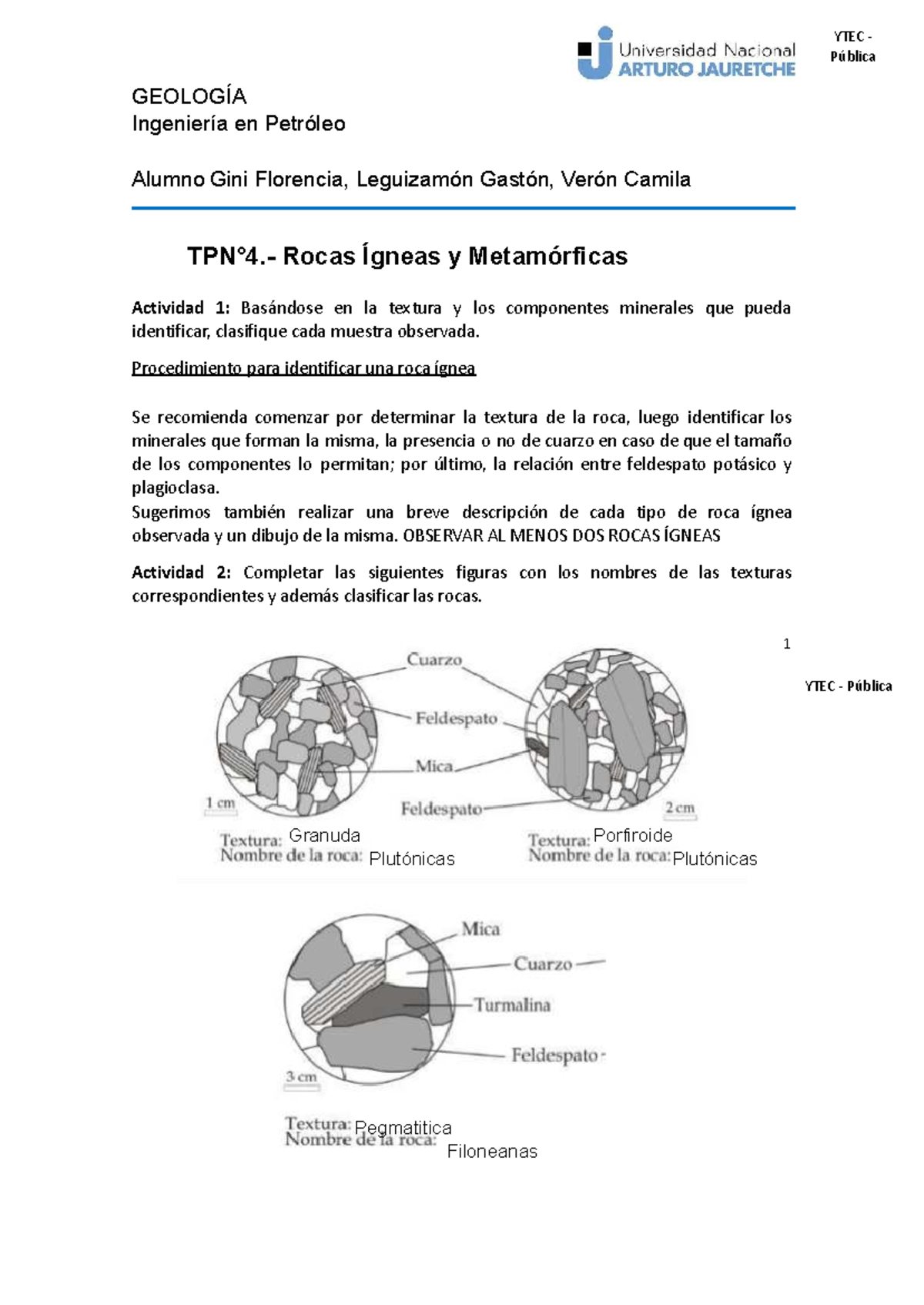 YTEC Pública - Rocas Ígneas y Metamórficas: Actividades y Clasificación ...