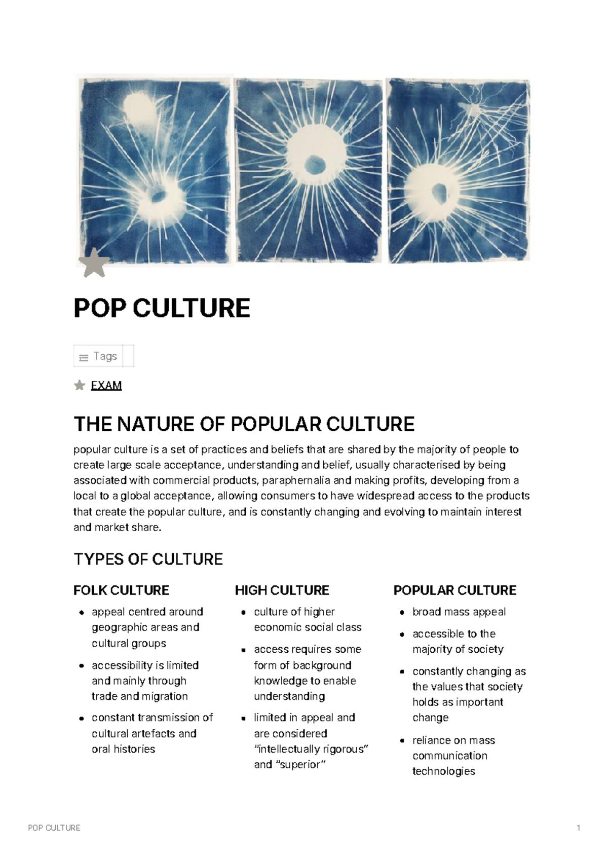 HSC Exam Notes: Understanding Popular Culture & Its Evolution - Studocu