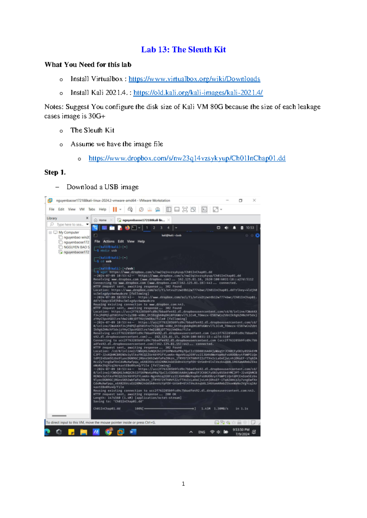 Nguyên bảo-se172188 Lab 13: The Sleuth Kit Instructions & Setup Guide ...