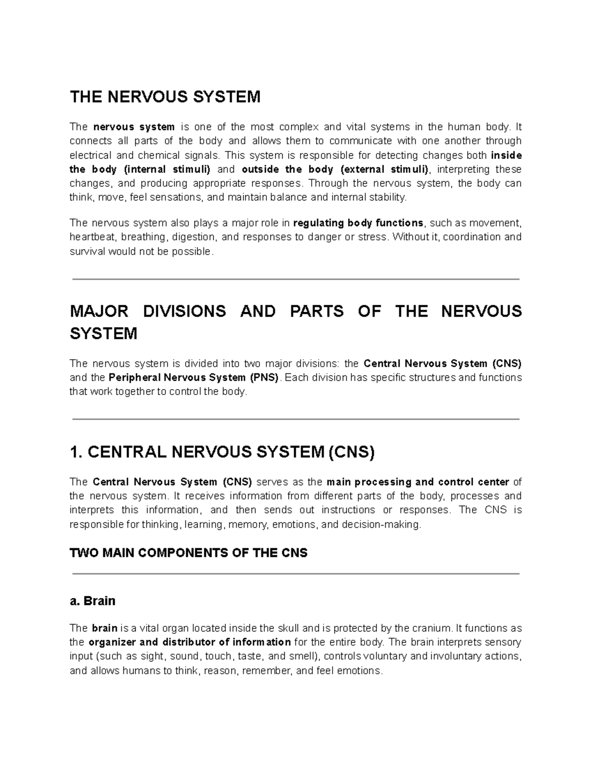 Nervous System Overview: Structure & Function Analysis - Studocu