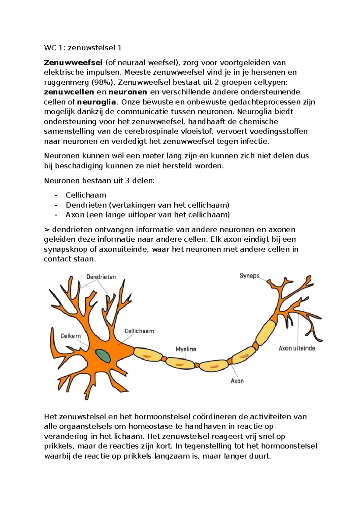 Fysiologie Les 1.8: Het Zenuwstelsel en Communicatie in het Lichaam ...