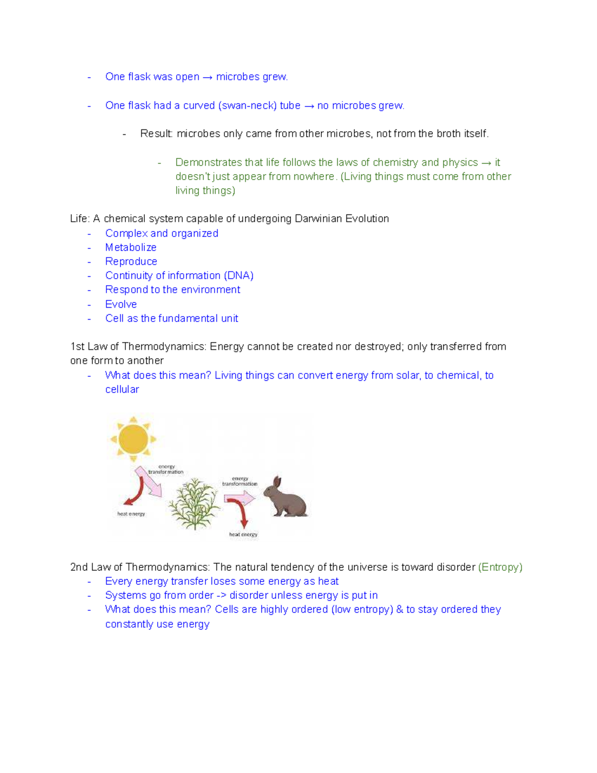 Cell Biology Study Notes: Structure, Function, and Transport Mechanisms ...