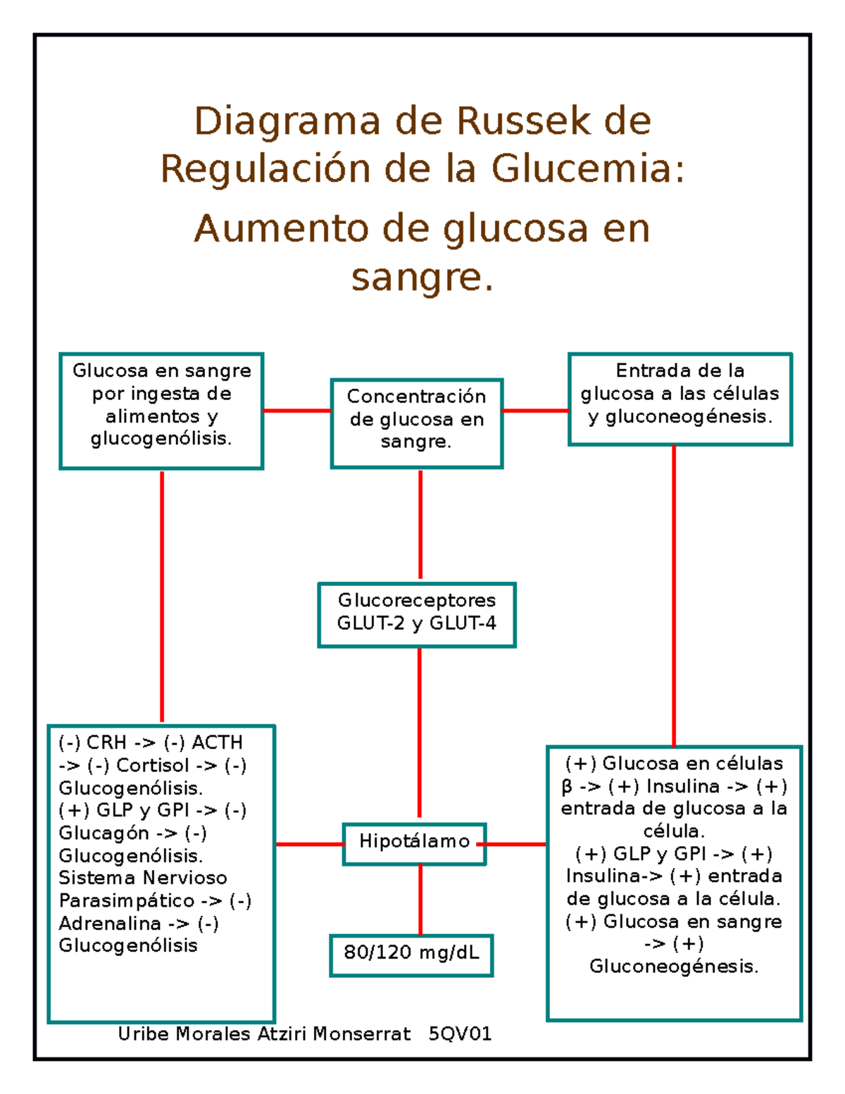 Diagrama de Russek de Regulación de la Glucemia - Diagrama de Russek de ...