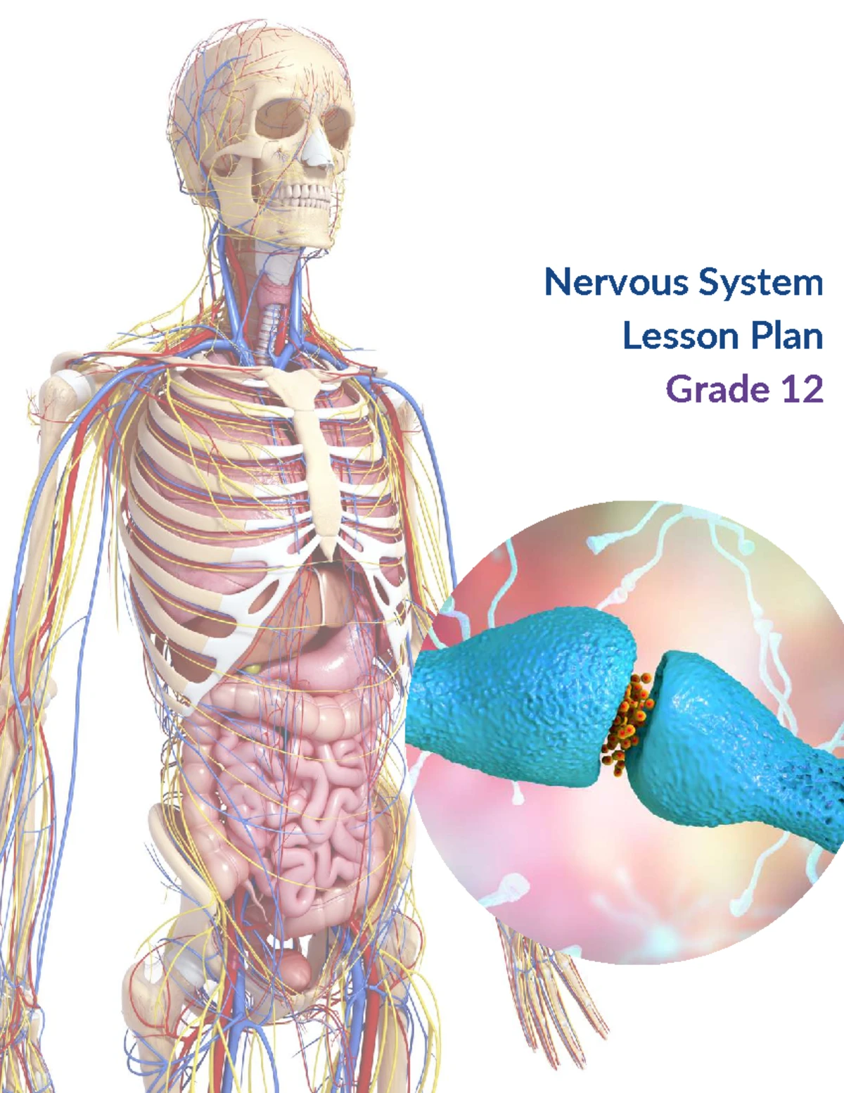 LN17 Genetic Mutations and Engineering: Learner Notes for Grade 12 ...