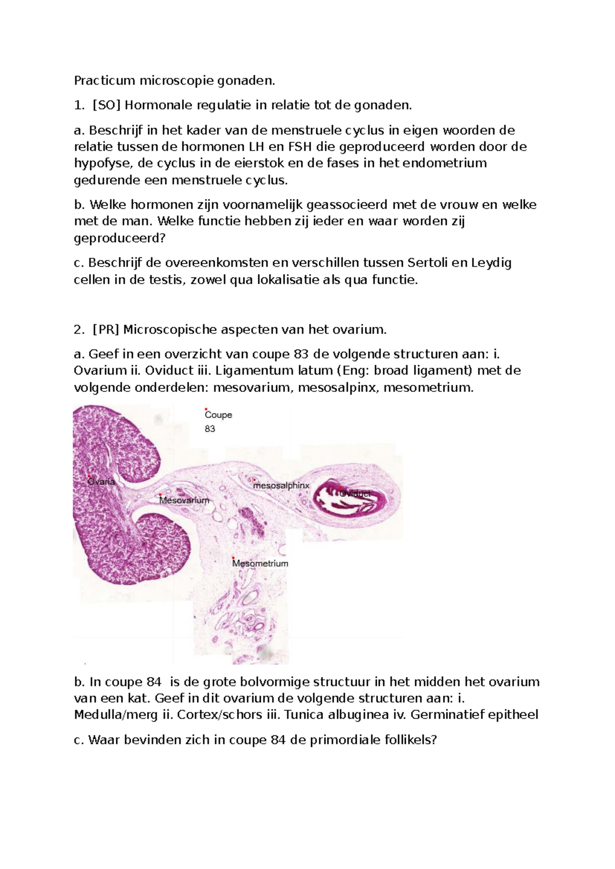 Practicum Gonaden: Hormonale Regulatie en Microscopische Aspecten ...