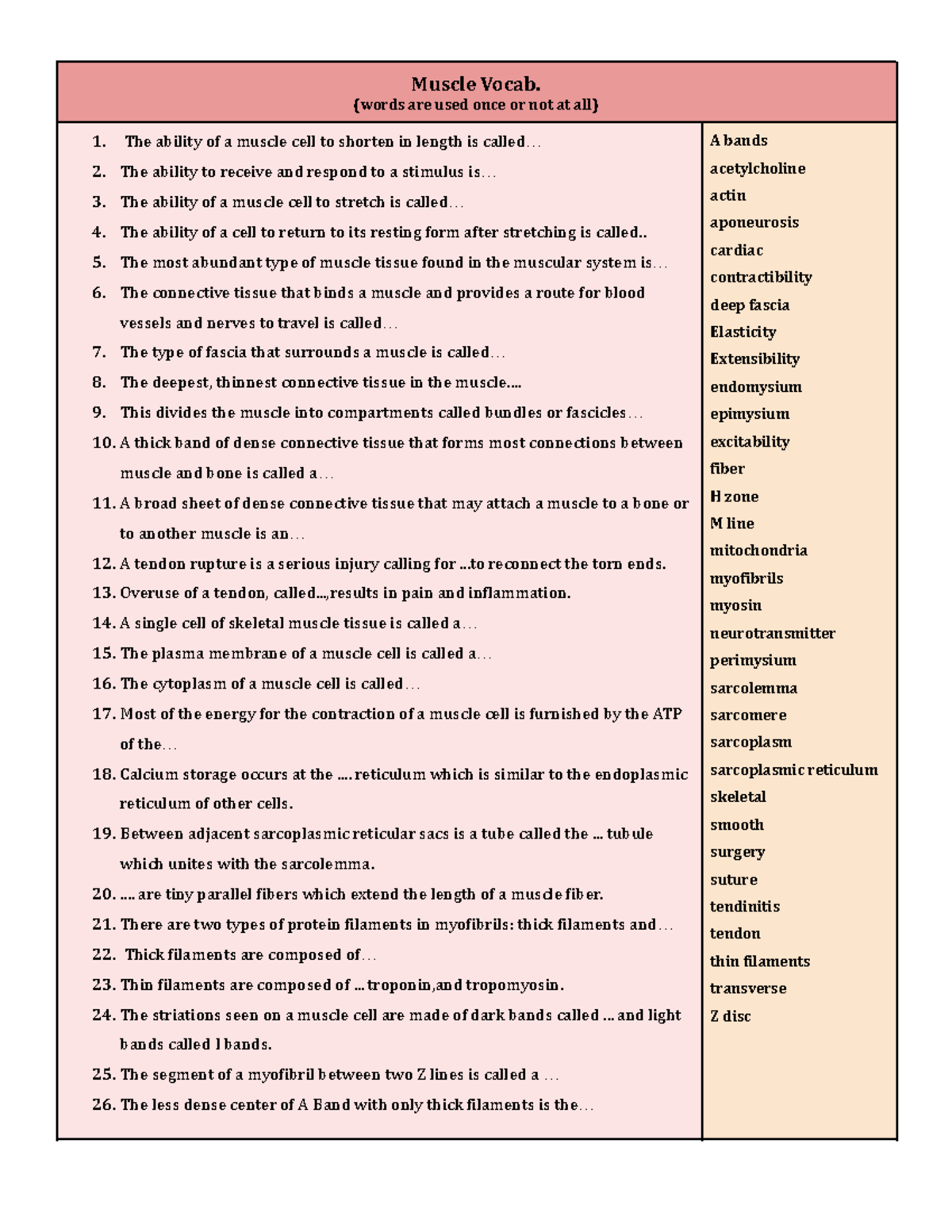 Muscle Vocabulary - Muscle Vocab. (words are used once or not at all) 1 ...