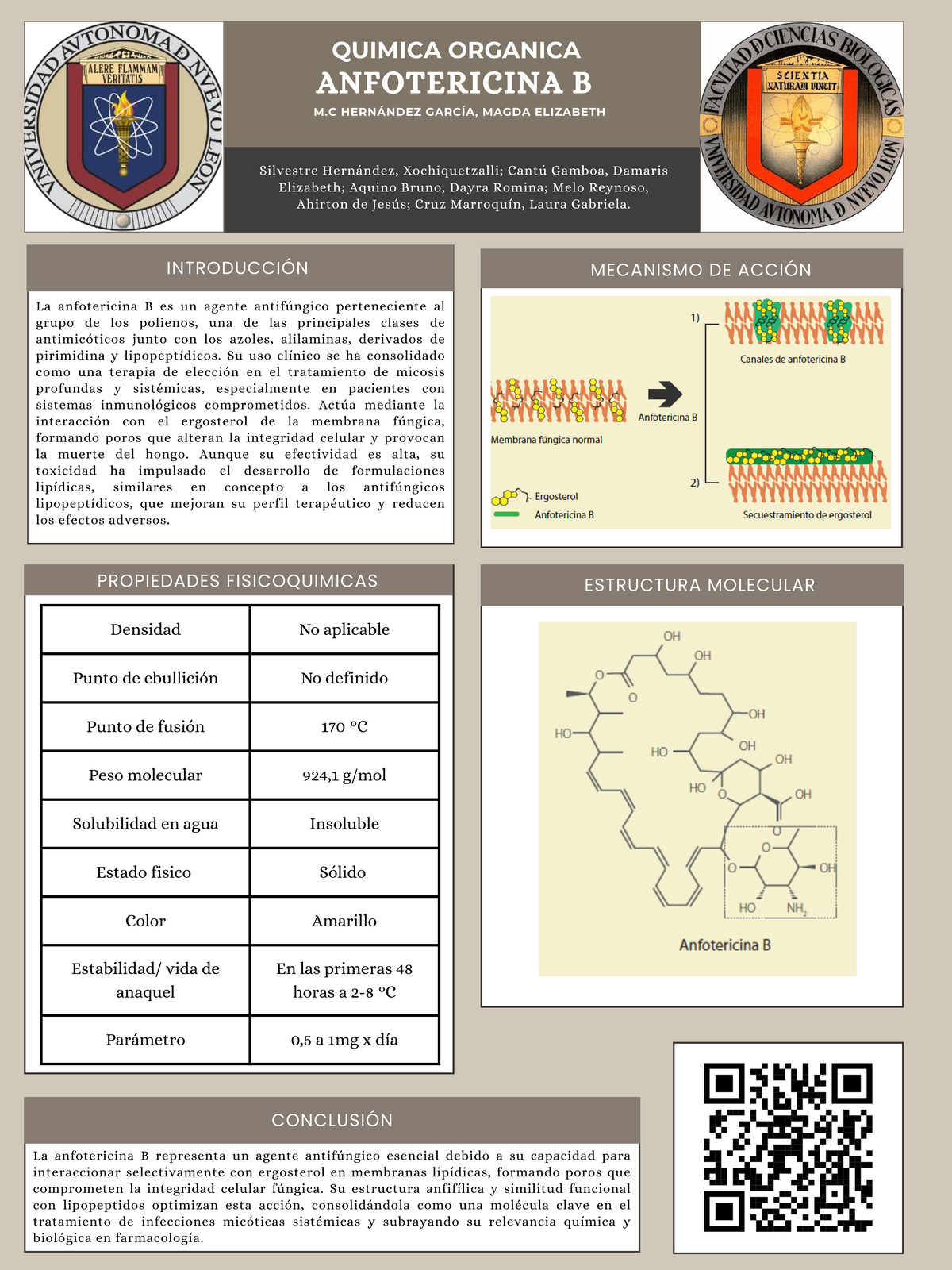 QUIMICA ORGANICA: Análisis de la Anfotericina B y su Mecanismo de ...