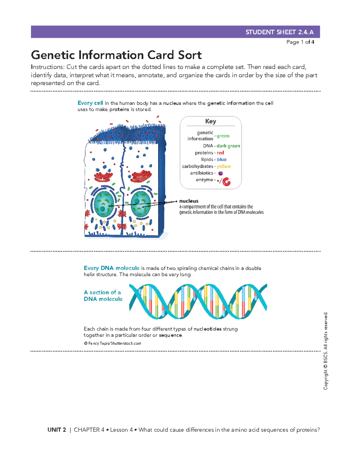 SS 2 - ddshsvshshs - Copyright © BSCS. All rights reserved. Page 1 of 4 ...