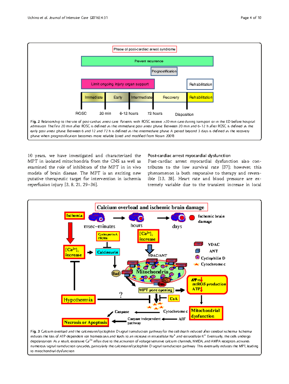 Art 253A10 - Mitochondrial Permeability Transition in Cardiac Arrest ...