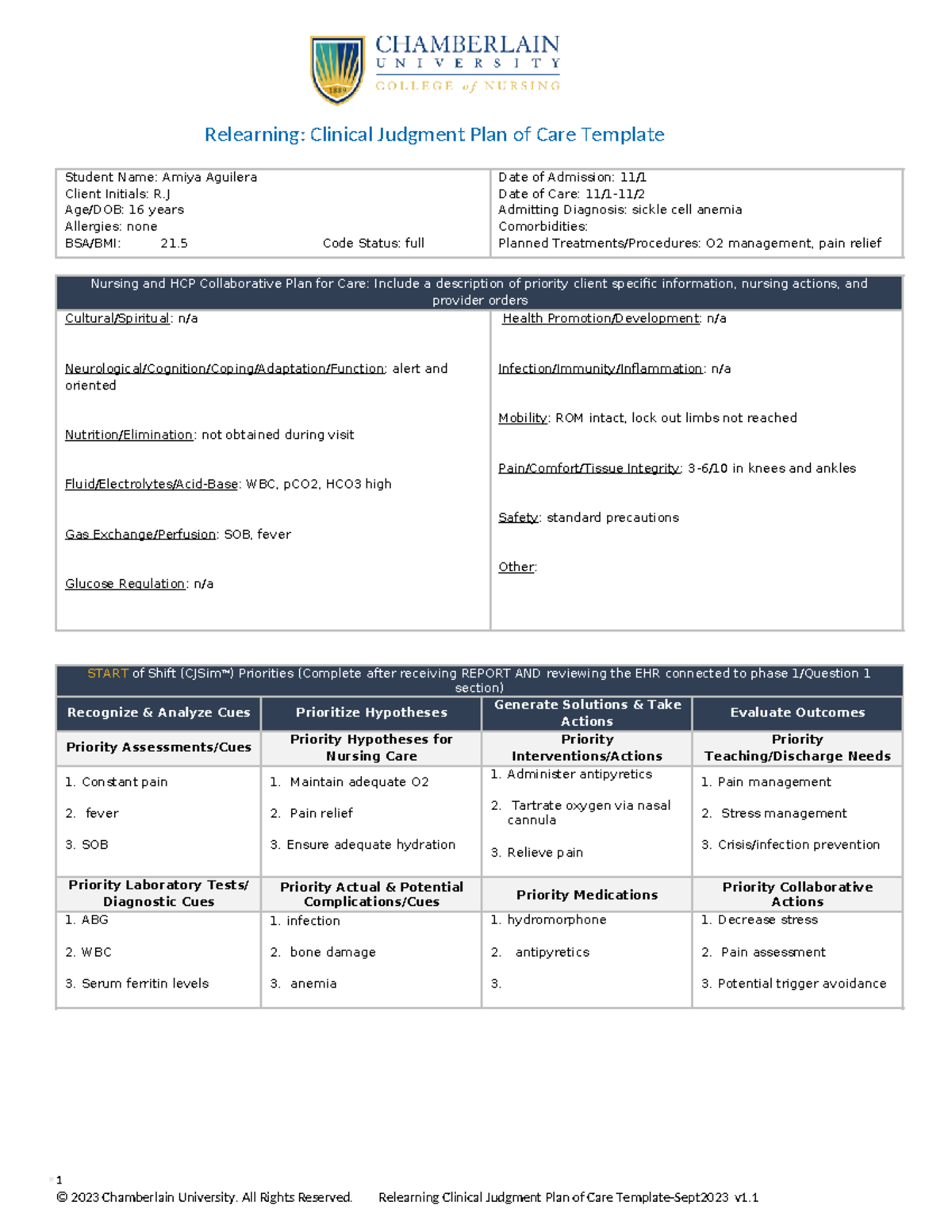 CJE RJ Relearning: Clinical Judgment Plan of Care Template - Studocu