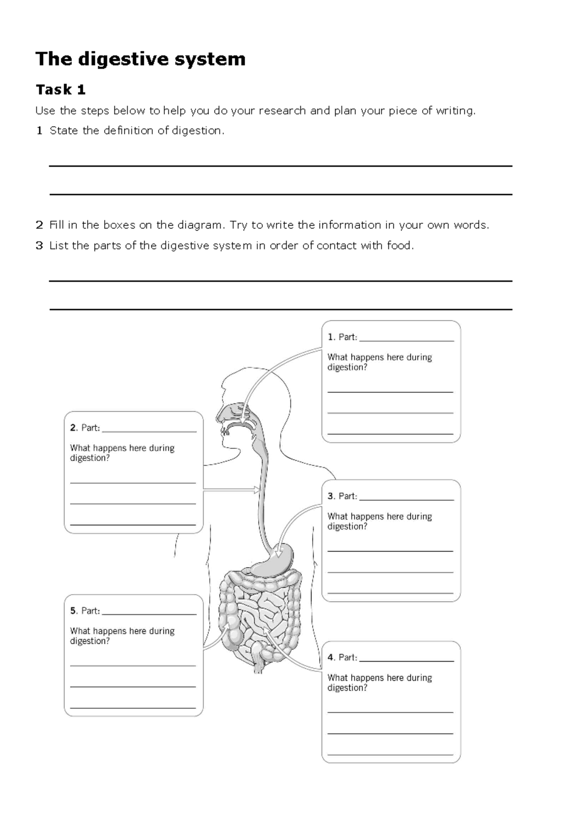 Homework 2 - adsasdasd - The digestive system Task 1 Use the steps ...