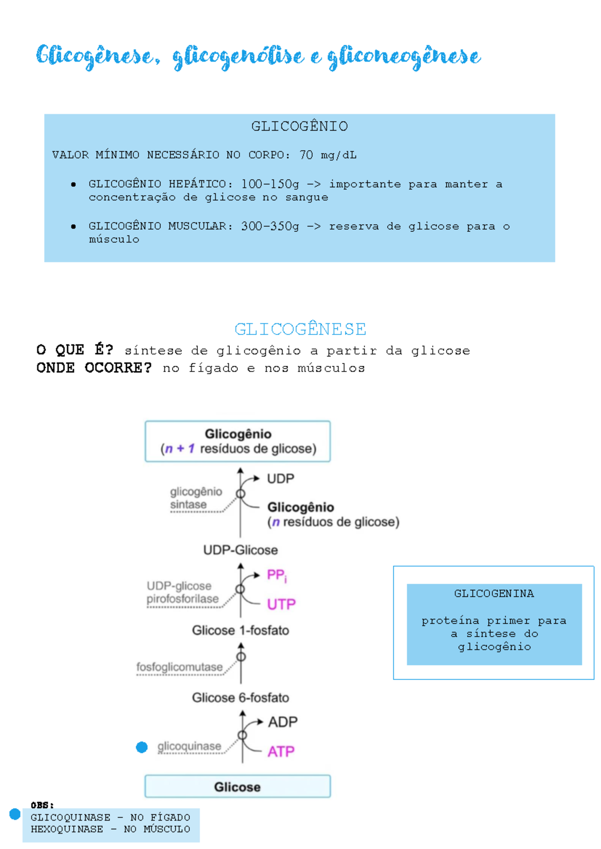 Glicogênese, Glicogenólise E Gliconeogênese - Bioquímica Metabólica ...