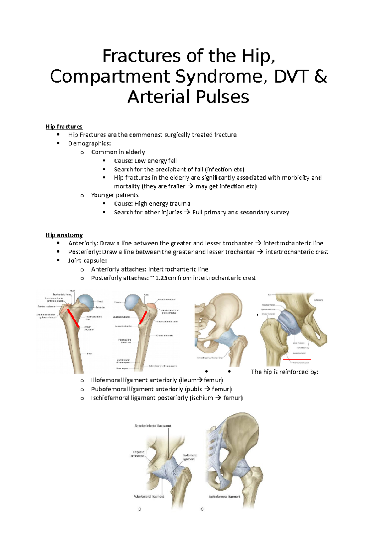 Fractures of the Hip, Compartment Syndrome, DVT & Arterial Pulses ...