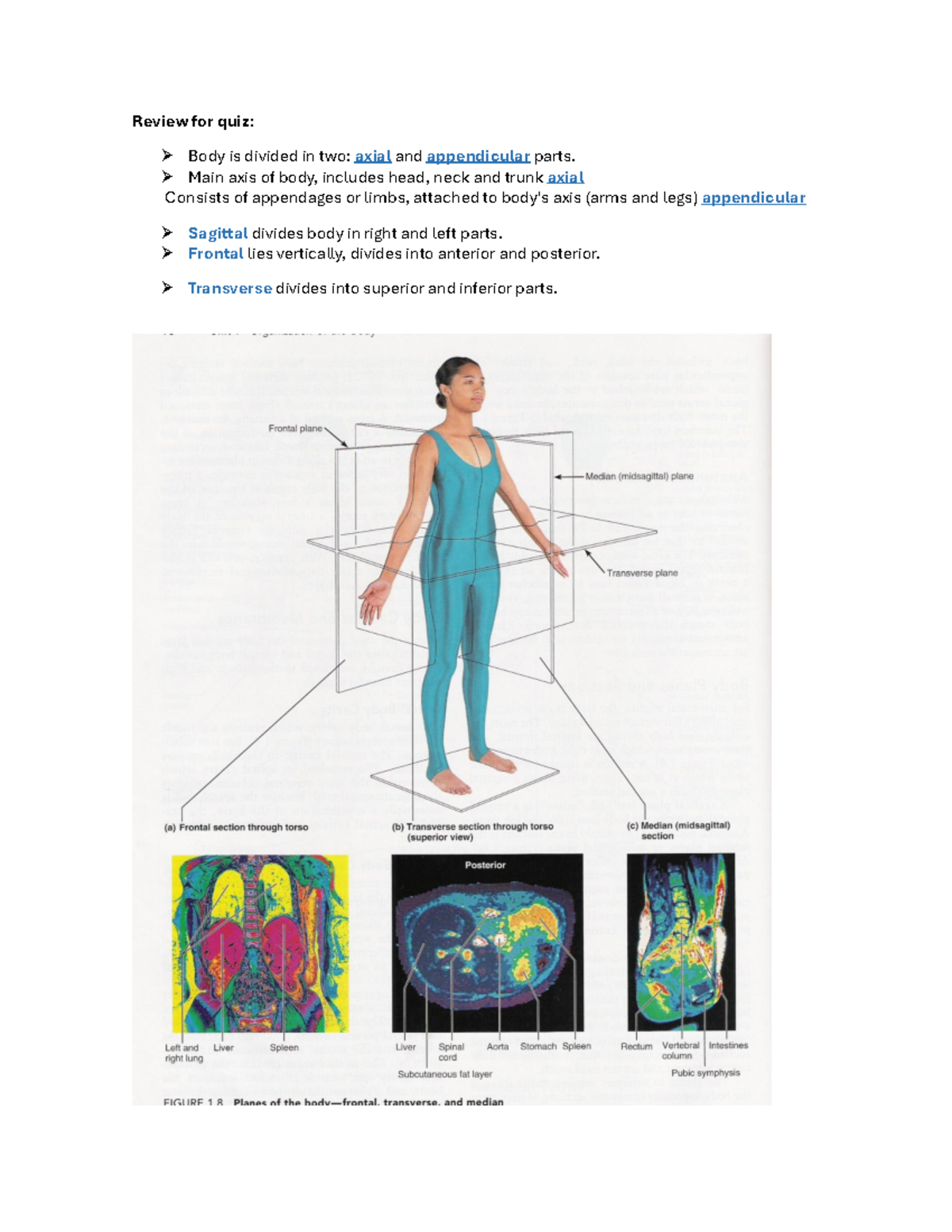Quiz Review: Human Anatomy - Tissues & Bone Structure (Course Code ...