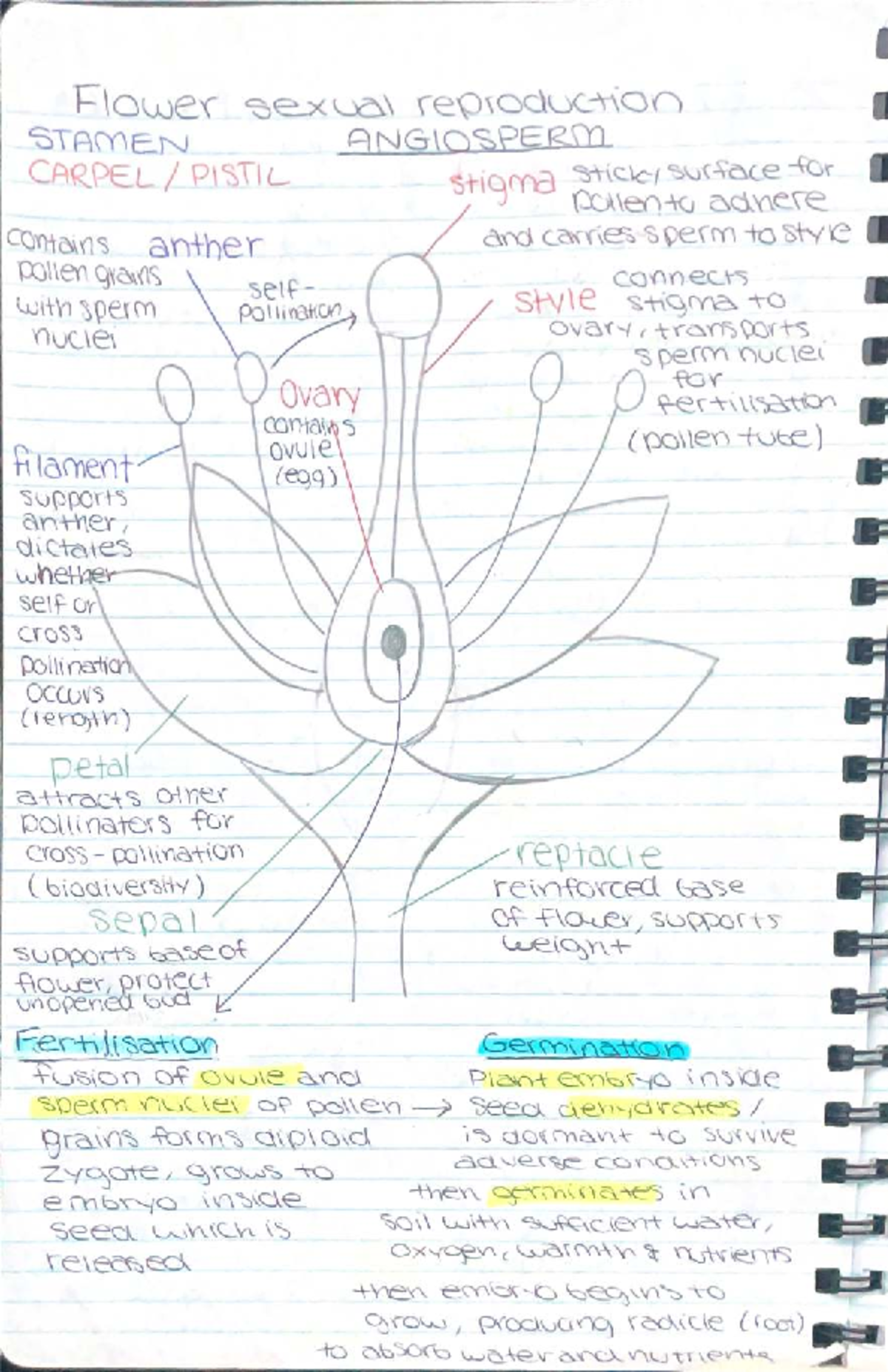 BIO MOD 5 - Notes on Flower Reproduction and DNA Processes - Studocu