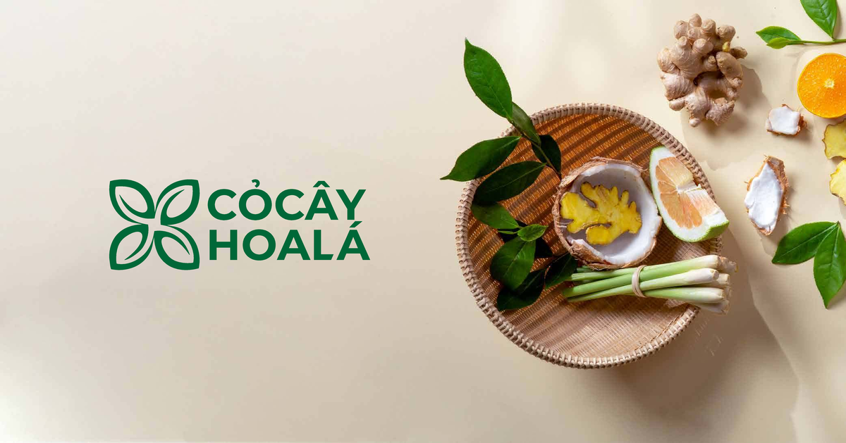 Cocayhoala • Hướng Dẫn Thương Hiệu Việt Nam 2024 - Studocu