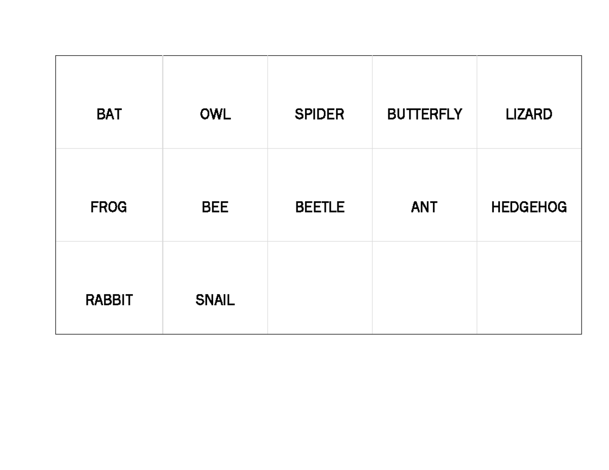 Animals EX3A - English - 08 09 10 11 12 BAT OWL SPIDER BUTTERFLY LIZARD ...