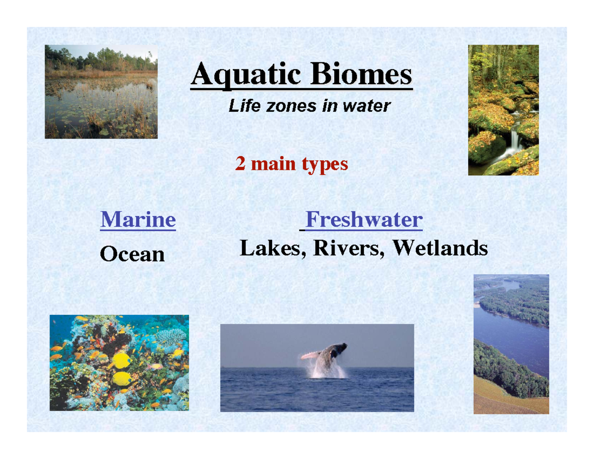 Aquatic Biomes Overview for AP Environmental Science - Studocu