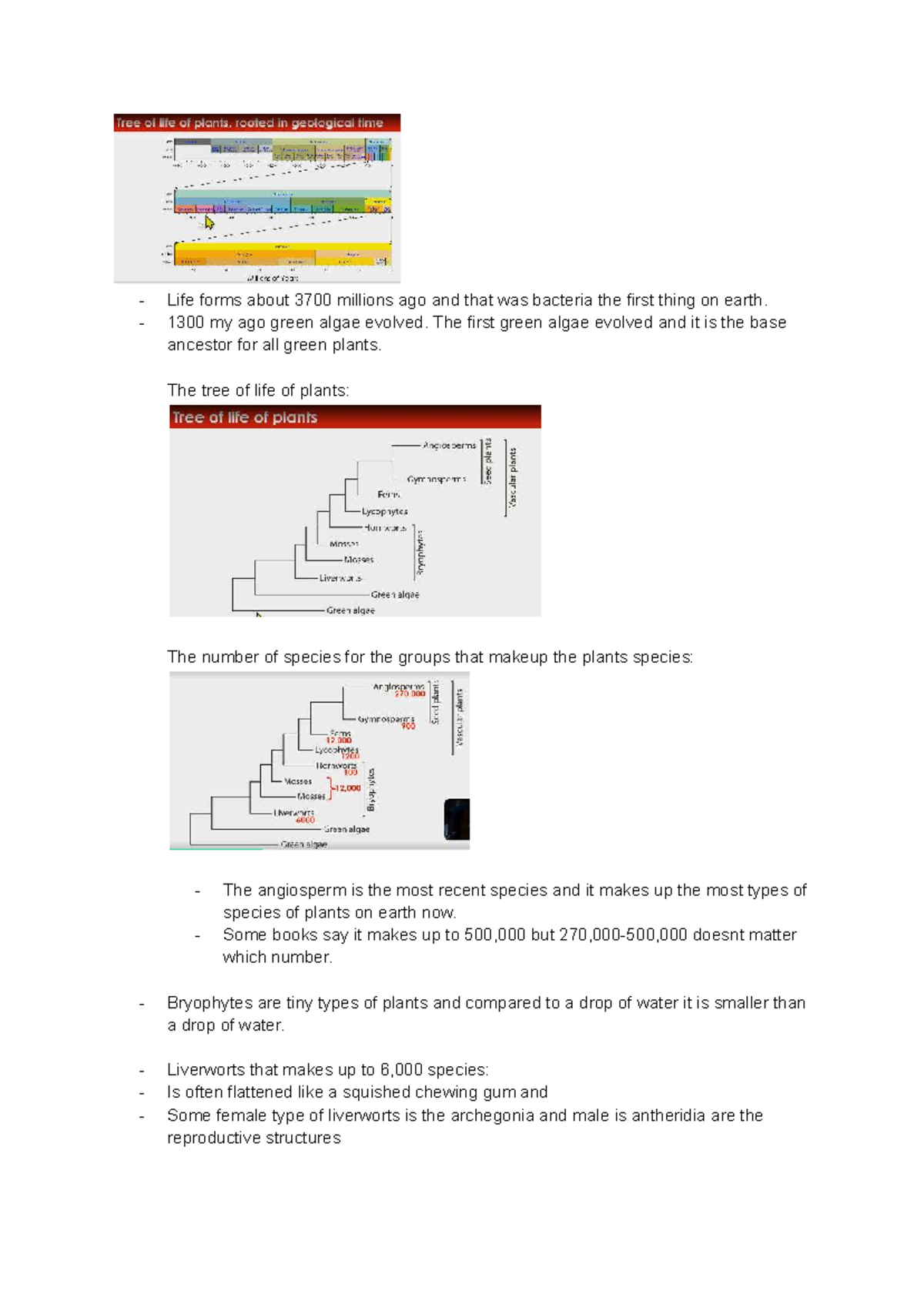 Bio 101 Lecture 1 Notes: Evolution of Bryophytes and Life Cycle - Studocu