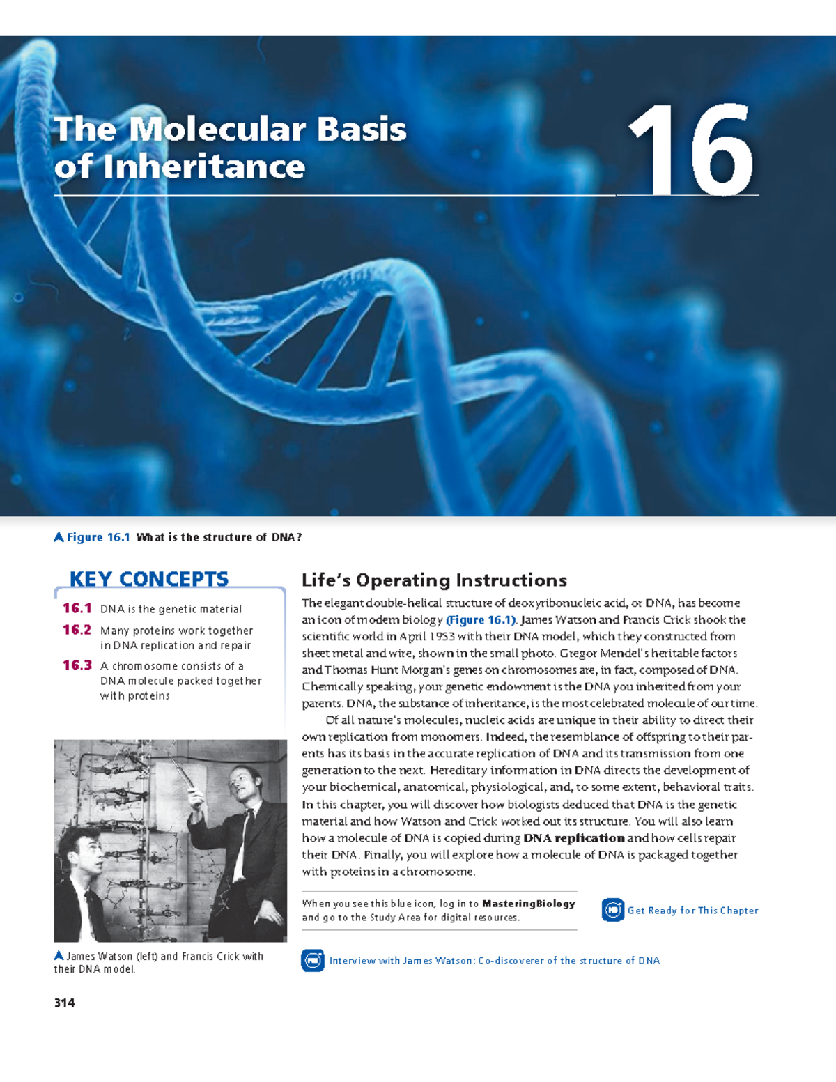 Chapter 16: The Molecular Basis of Inheritance - Key Concepts and DNA ...