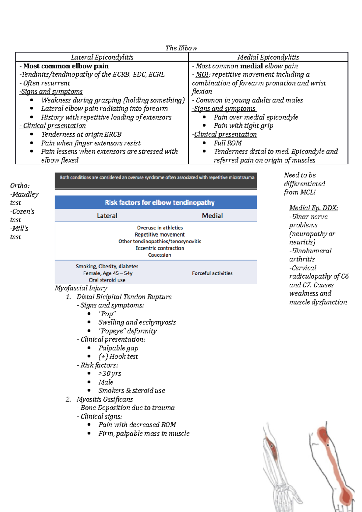 Chi338 The Elbow - dr. losco's notes - The Elbow Lateral Epicondylitis ...