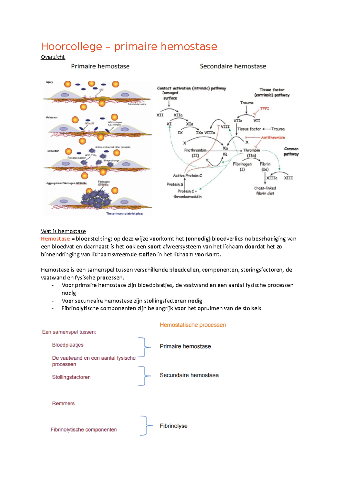 Hoorcollege Primaire Hemostase: Mechanismen en Essentiële Factoren ...