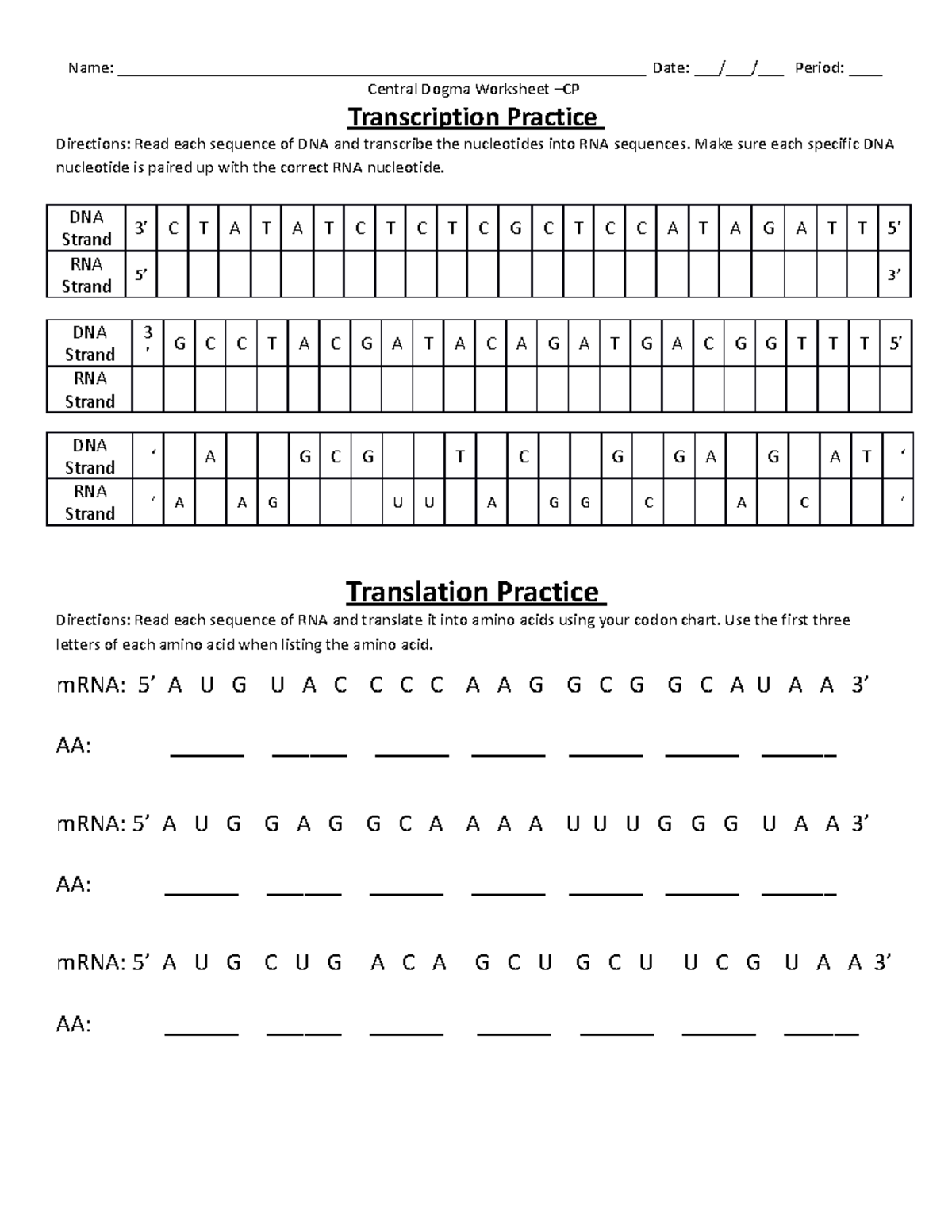 Transcription and Translation Worksheet - CP - Studocu