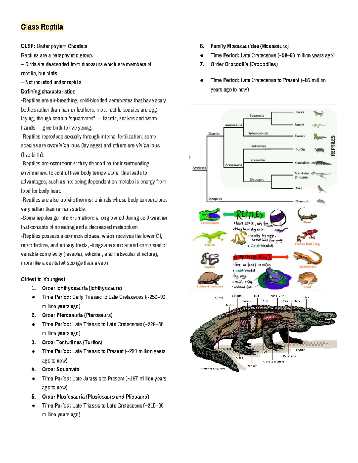 Class Reptilia CLSF: Overview of reptiles and their characteristics ...