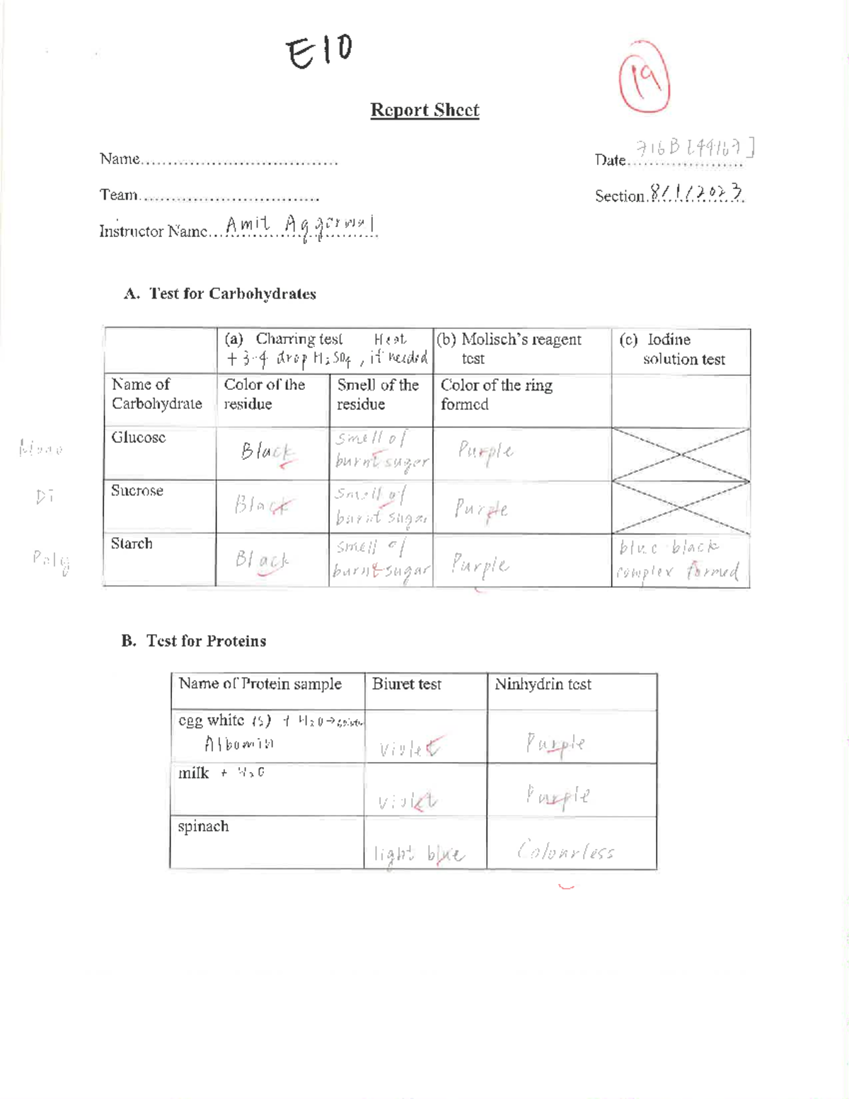 Lab 10 Carbohydrates, Proteins, Fats and Oils - SCC 110 - Studocu