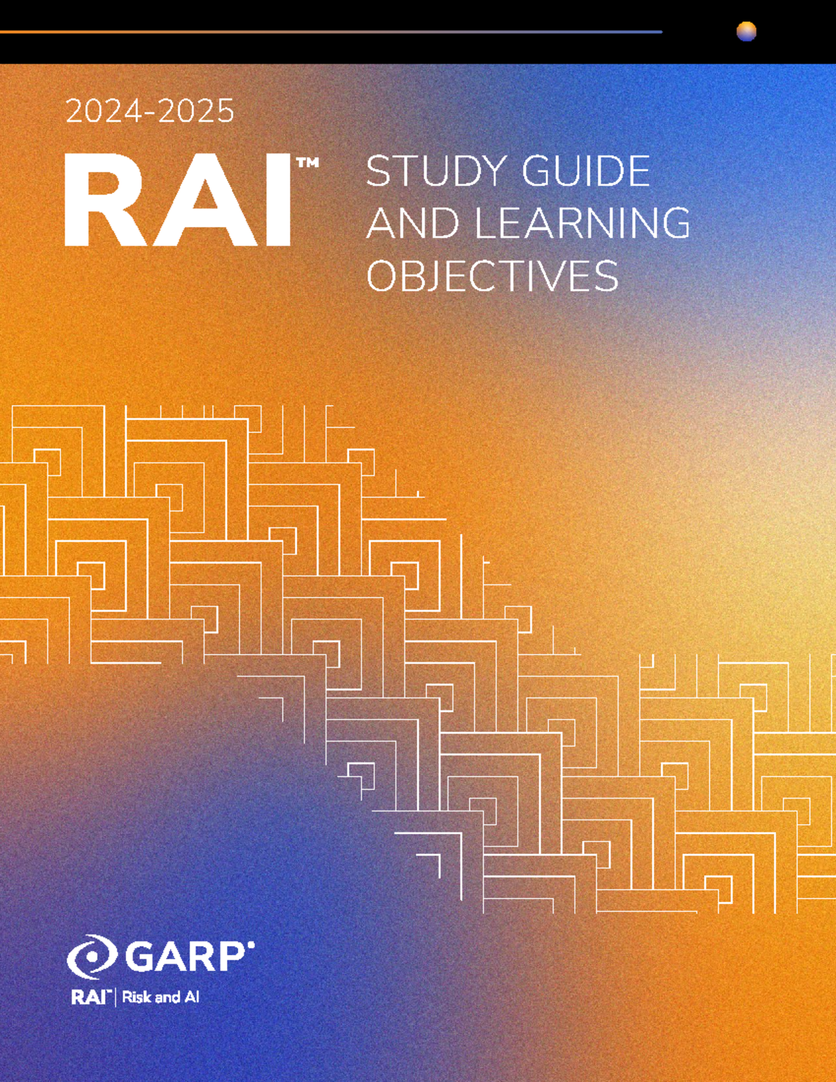 RAI2025 Study Guide: Key Learning Objectives & Exam Insights - Studocu