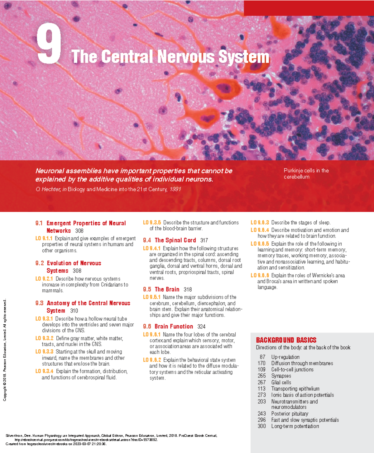 Human Physiology: Central Nervous System Overview (Global Ed ...