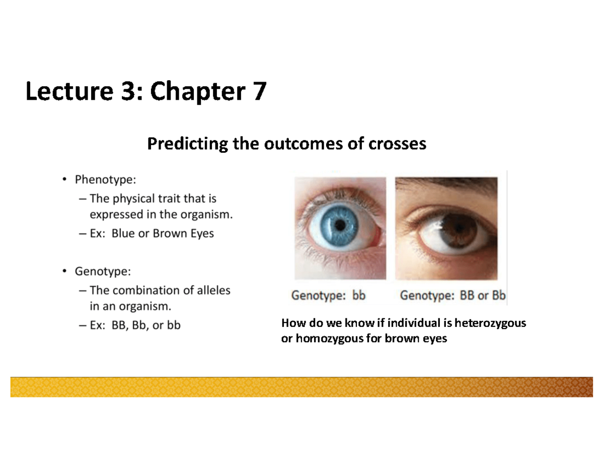 ANSC 3213 2024 Chapter 7 Lecture 3: Genetics and Recombination Analysis ...
