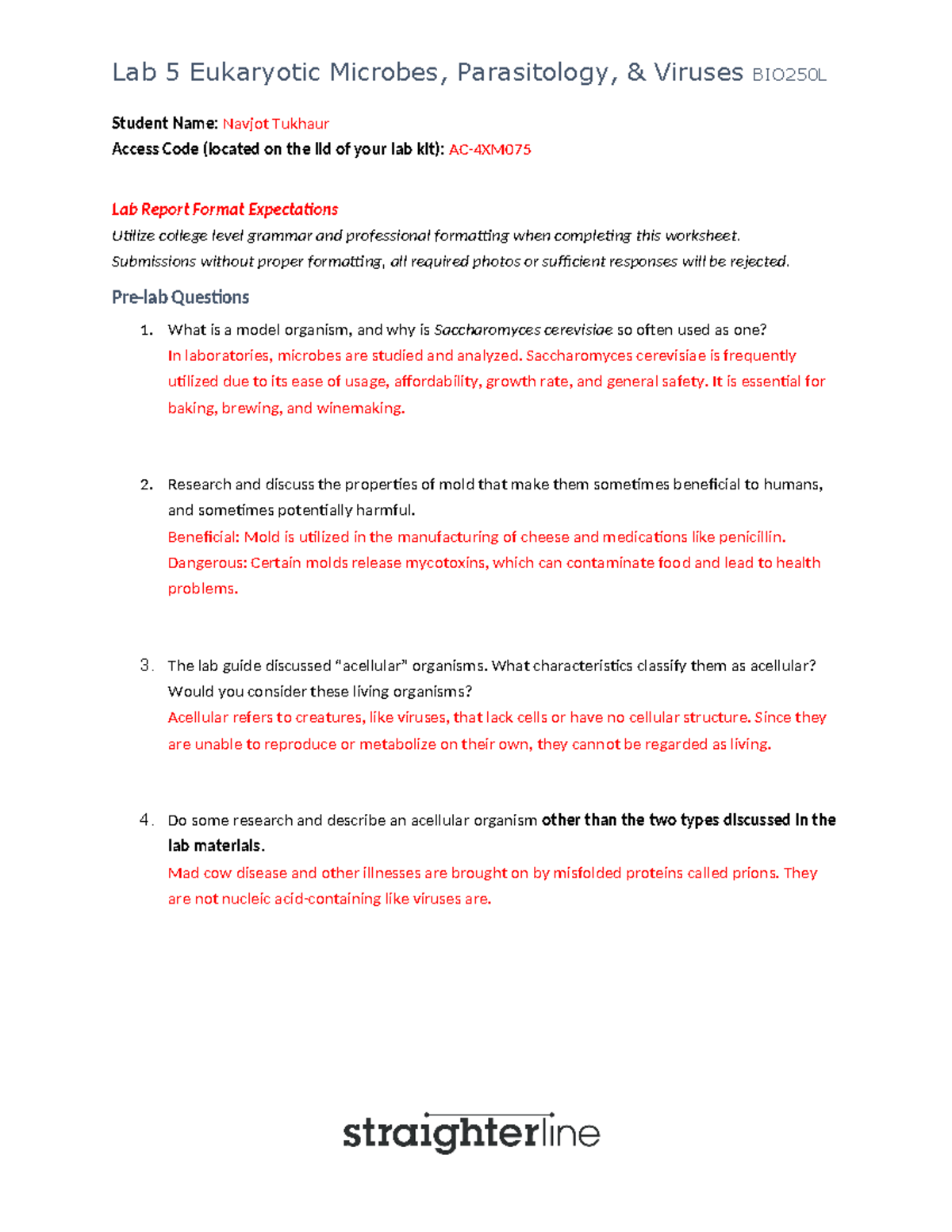 BIO250 Lab 5 - Mold Growth Experiment Report and Observations - Studocu