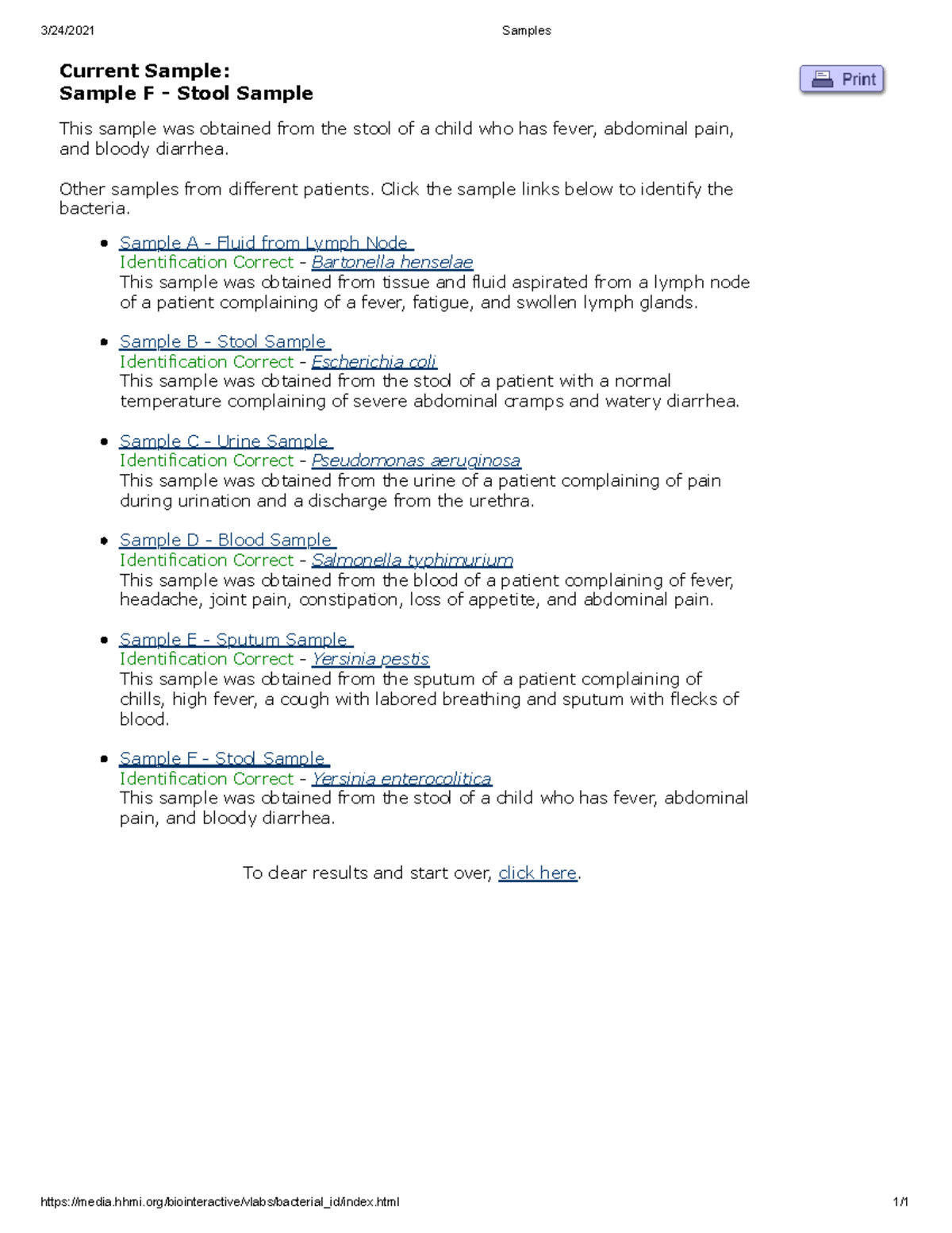 Bacterial Identification Lab Report - HHMI Bio Interactive - Studocu