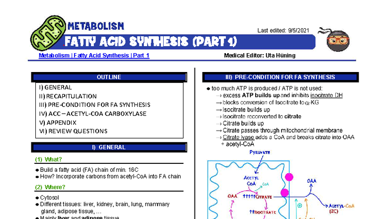 170 - Metabolism Physiology: Fatty Acid Synthesis (Part 1) Notes - Studocu