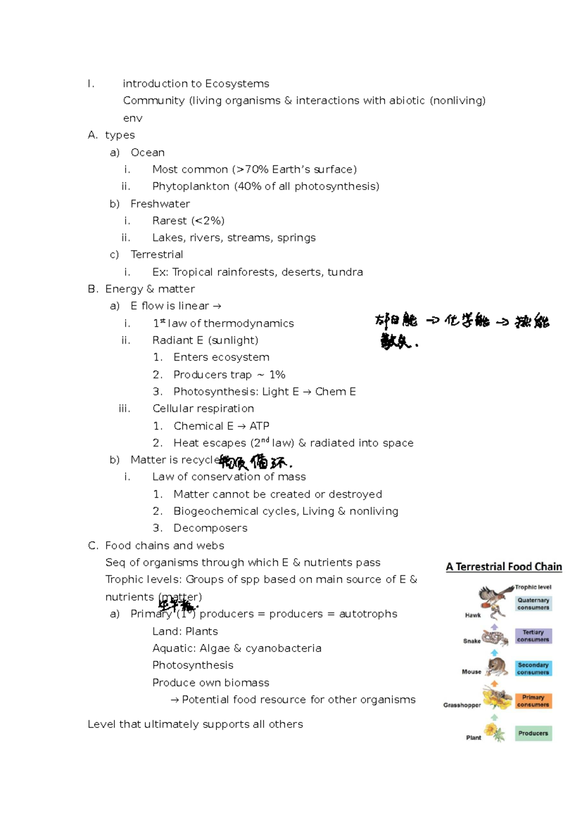 Lecture 25 Notes: Introduction to Ecosystems and Energy Flow - Studocu